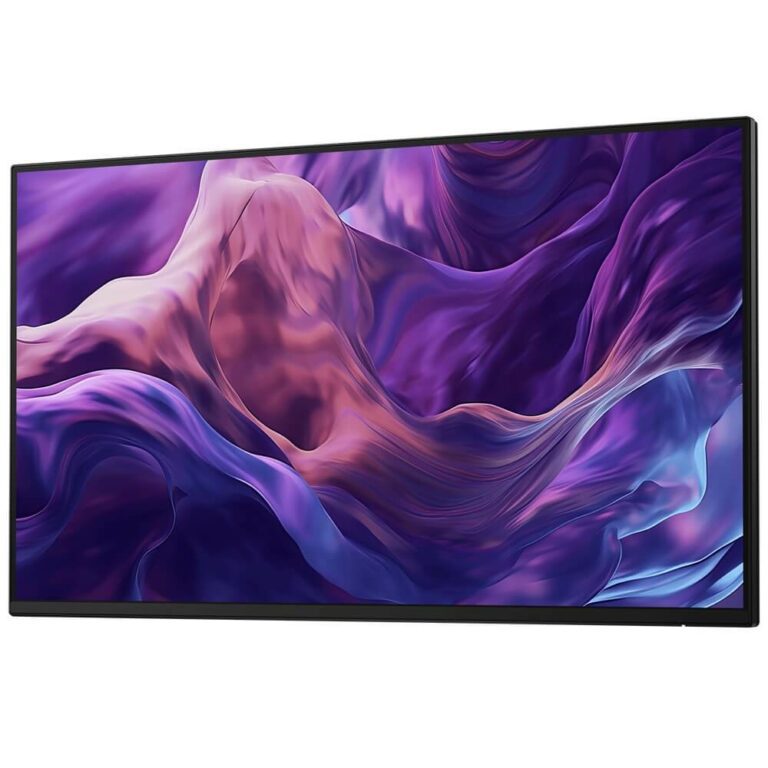Dell P2425H 23.8-inch Full HD Monitor without Stand Laptop